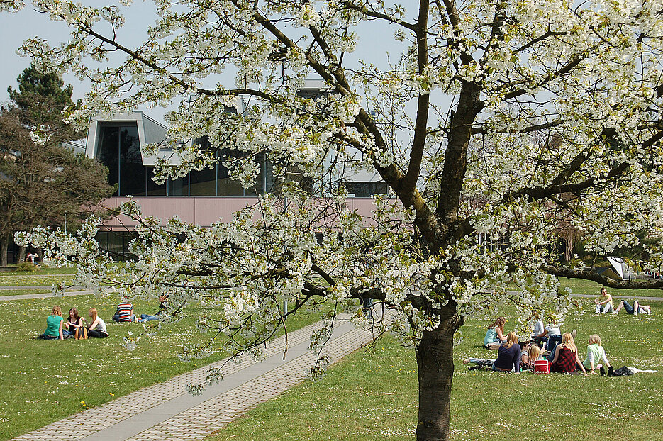 Vollversammlung des Instituts für Geschichte, Dienstag, 5. Mai 2026, 18 ...